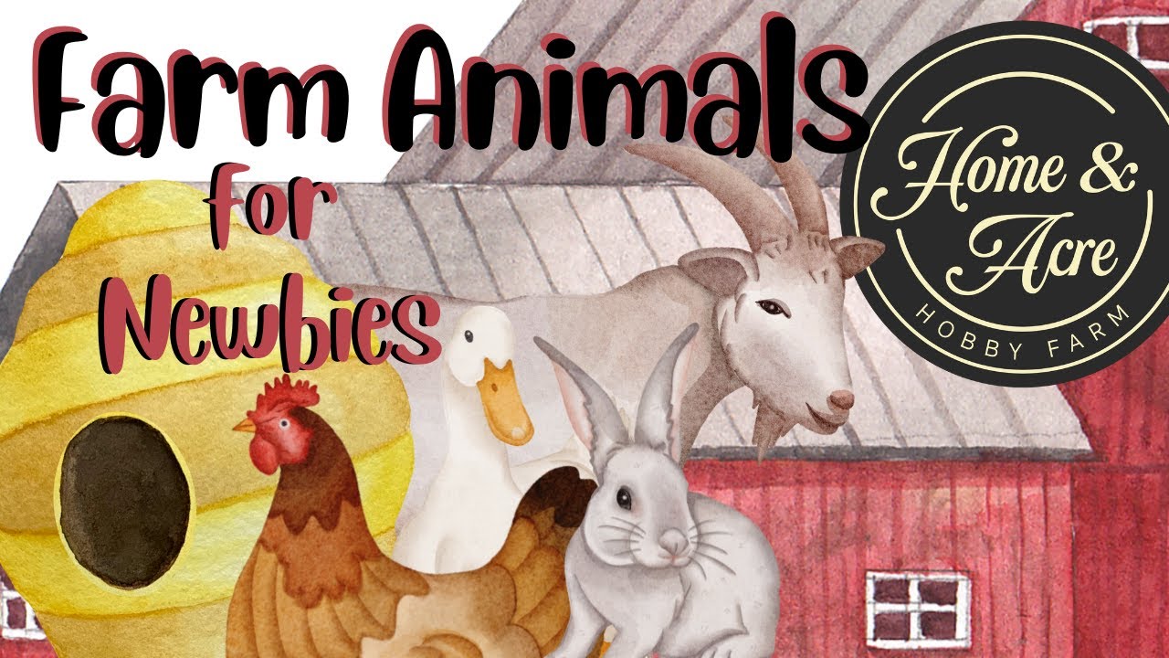 Hobby Farm Animals For Beginners and Why they are so Perfect - YouTube