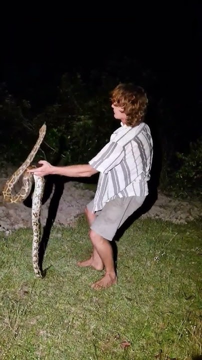 The biggest python I cought so far and its still a small one 🐍#nature # ...