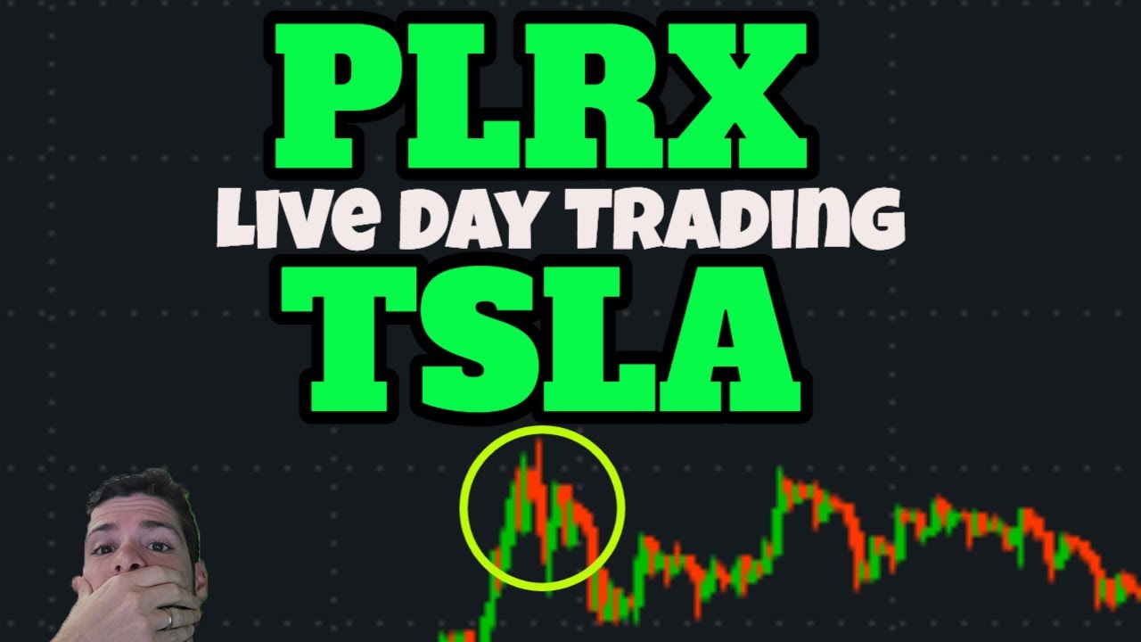 🔴PLRX STOCK RUN 100%! TWTR & TSLA STOCK LIVE! INDO, GOEV & HSTO STOCK ...