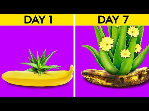 FUNNY GARDENING HACKS || DIY Parenting Hacks | Rich Fruit vs Broke ...