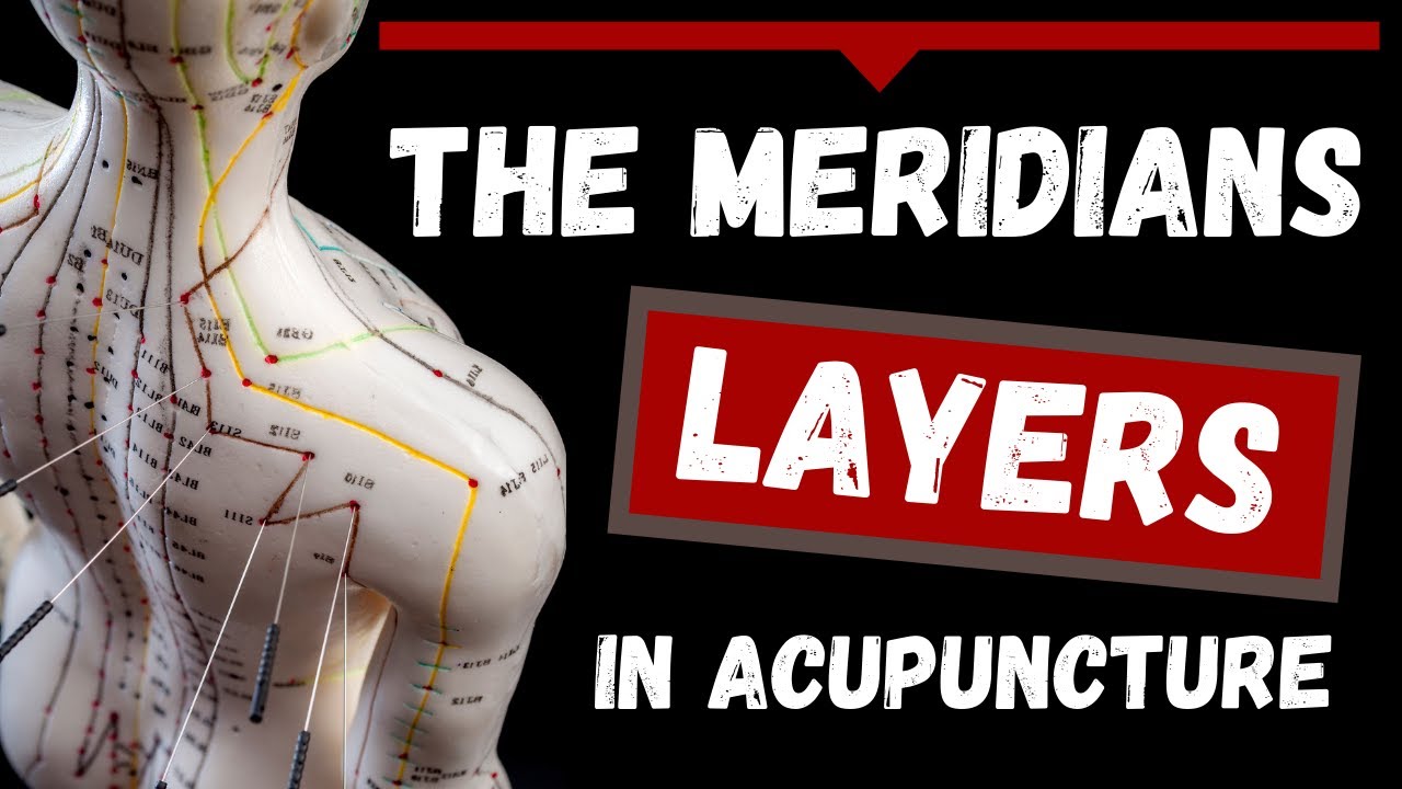The Meridians Layers in Acupuncture Theory - YouTube