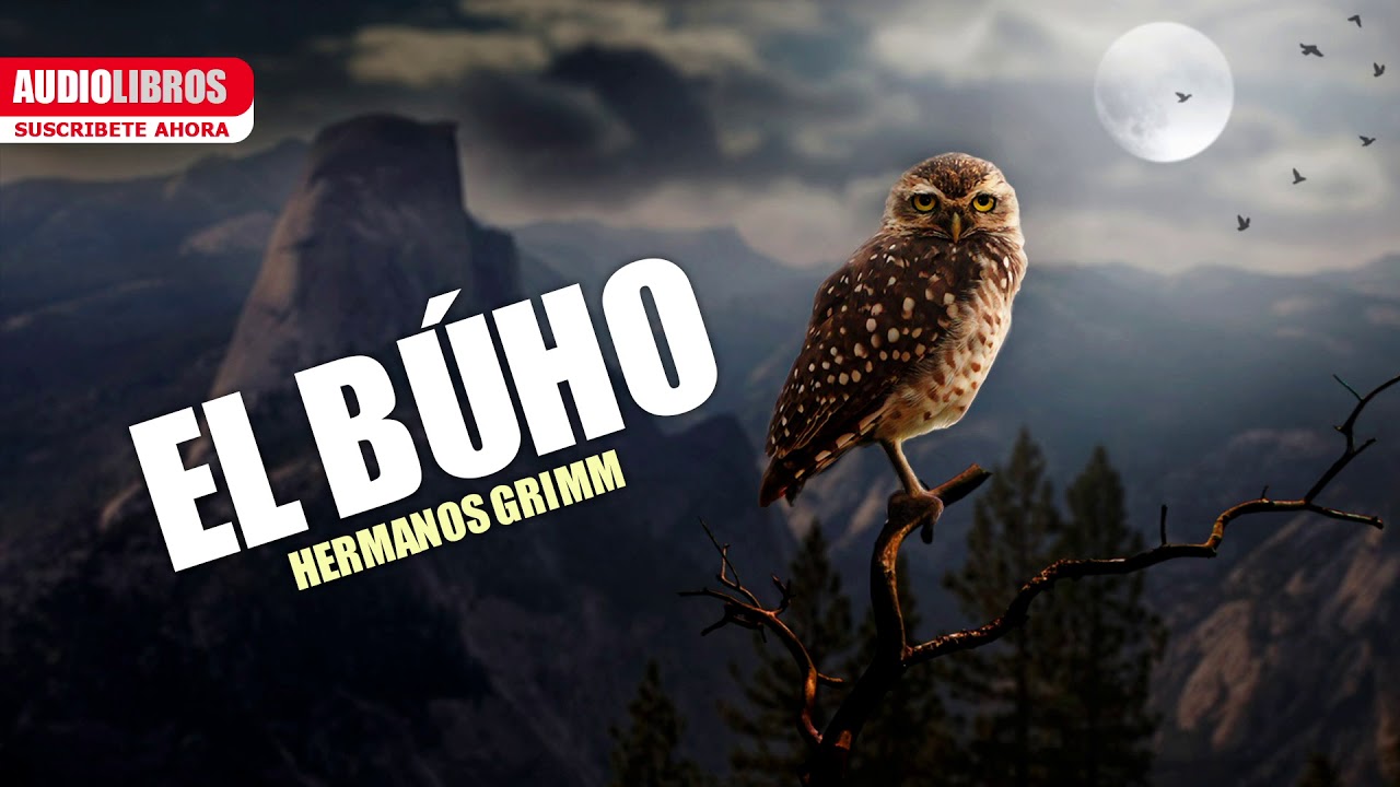 El Buho | Cuento para niños - YouTube