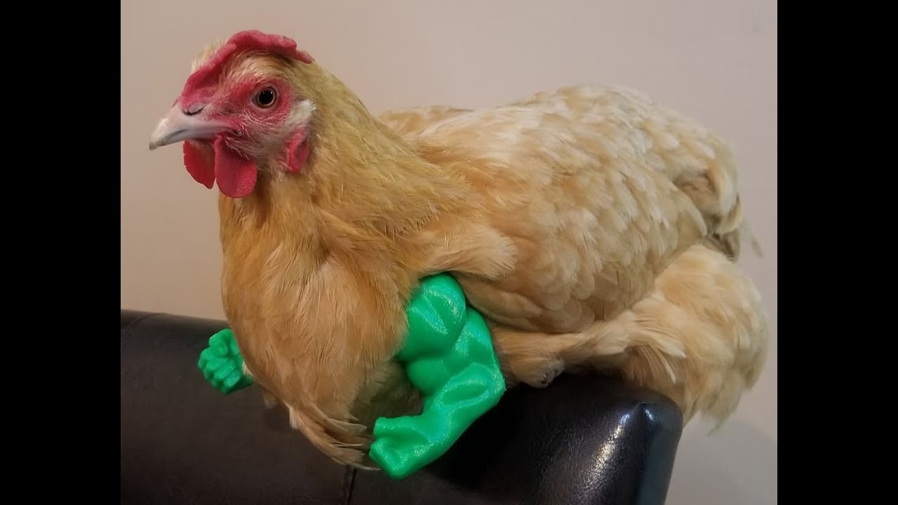 Super Cluck Co. - The Incredible Cluck, Hulk Chicken Arms - YouTube