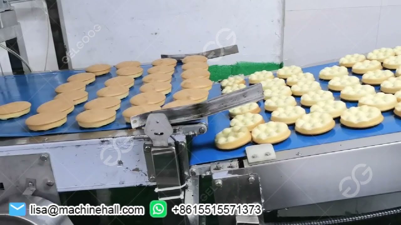 Cost Sponge Cake Machine|Chiffon Cake|Cup Cake Making Machine - YouTube