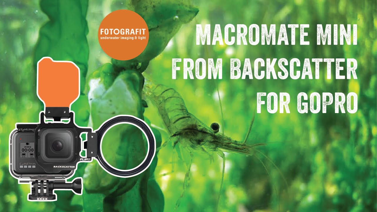 MacroMate Mini - In Action - YouTube