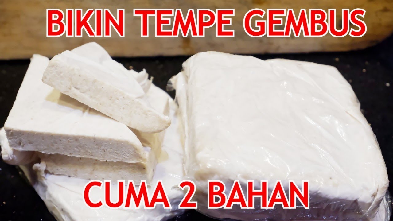 CARA MEMBUAT TEMPE GEMBUS DARI AMPAS TAHU , CUMA 2 BAHAN SAJA - YouTube