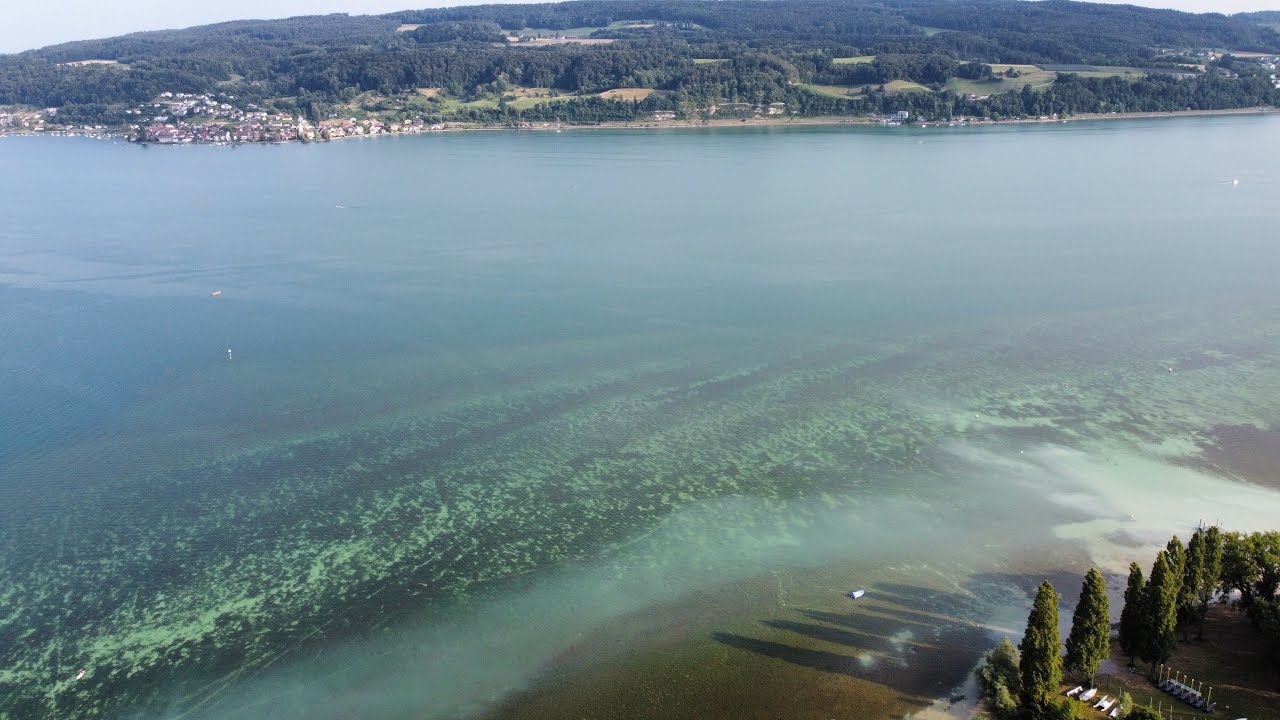 Bodensee Drone Footage - Constanze Lake — 4K | Gaienhofen Höri - YouTube