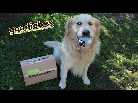 Szeptemberi Goodiebox Unboxing | Mogyi és Ehssty