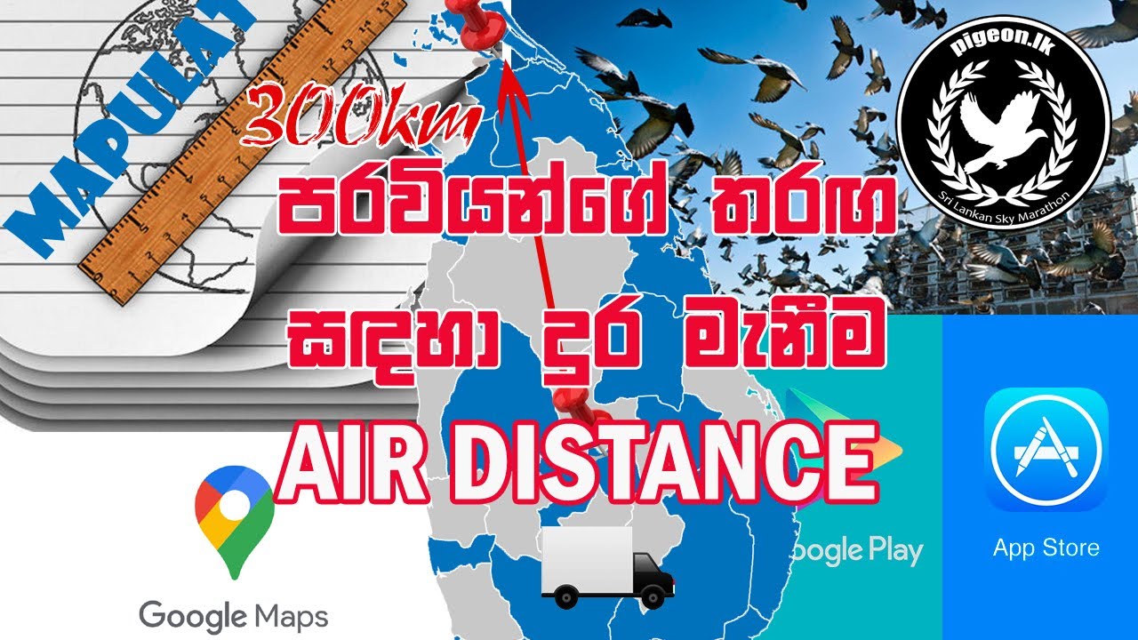 පරවියන්ගේ තරඟ සඳහා දුර මැනීම - Air distance measure - YouTube