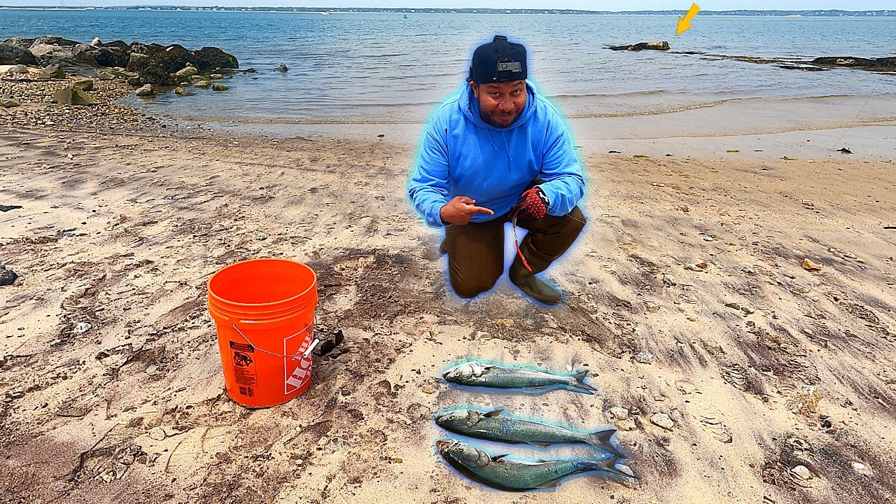 Easy & Fun Way to Catch Bluefish | Diamonds Are Forever! - YouTube