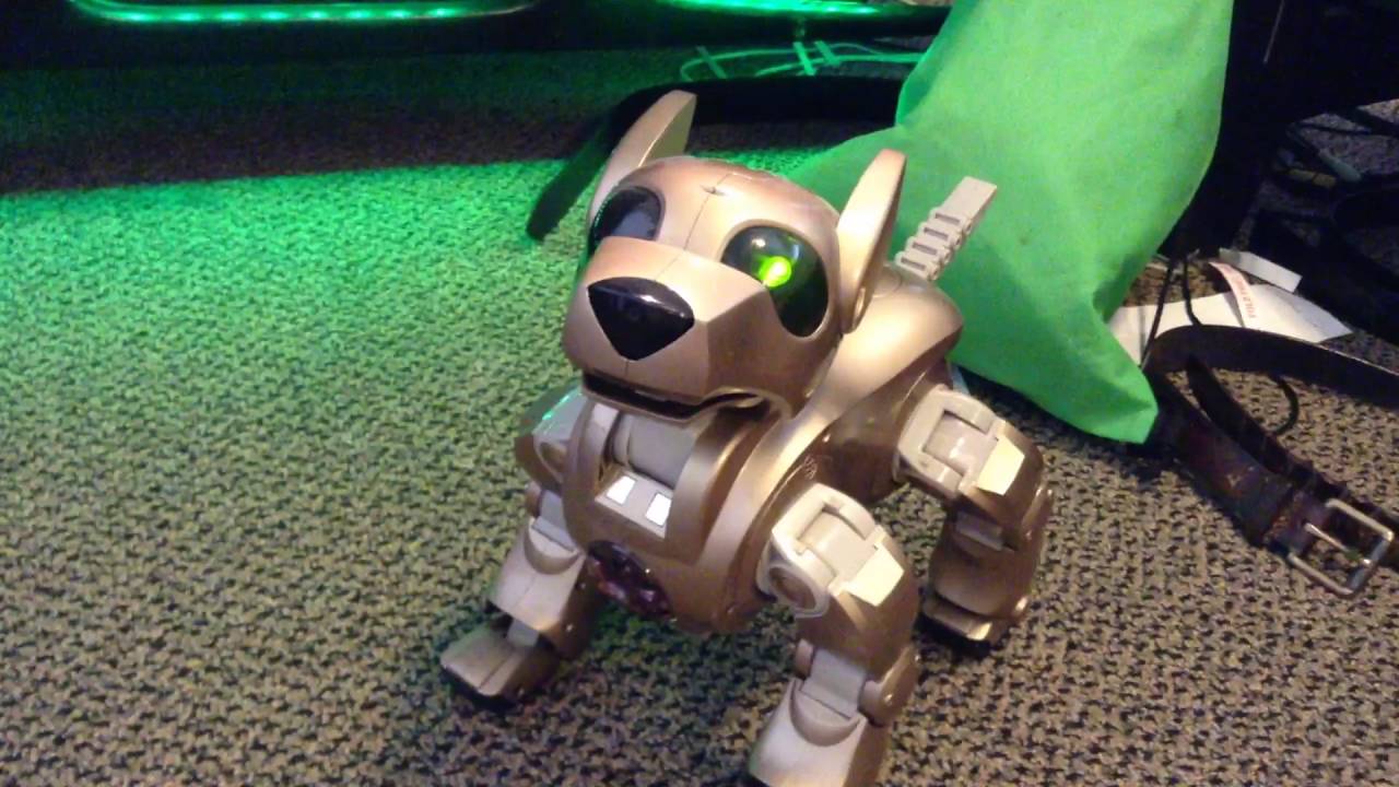 Robot Demo (Goob Jordan) - YouTube