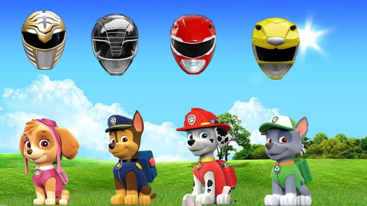 PAW PATROL | FUN Head Match | Videos For Kids | DEF WONG - YouTube