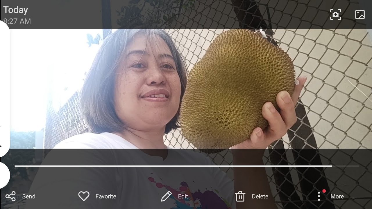 Harvest Tayo Ng Langka Dito sa baba Ng Building/Maris Channel - YouTube