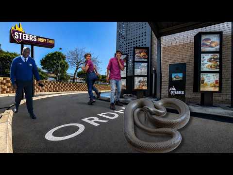 HUGE Snake At The Drive Thru