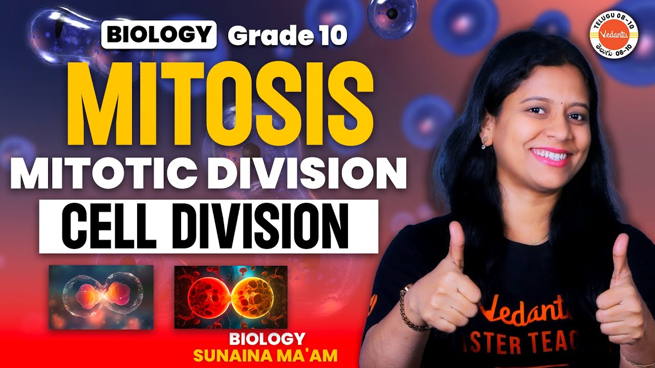 Cell Division Class 10 Mitosis Mitotic Division SSC 2024 AP cell-division-class-10-mitosis-mitotic-division-ssc-2024-ap