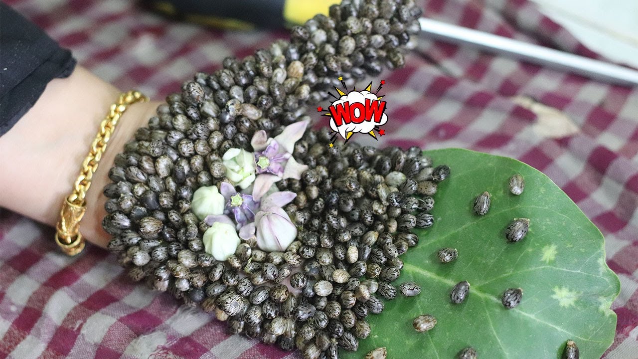 Remove ticks with green seeds - YouTube