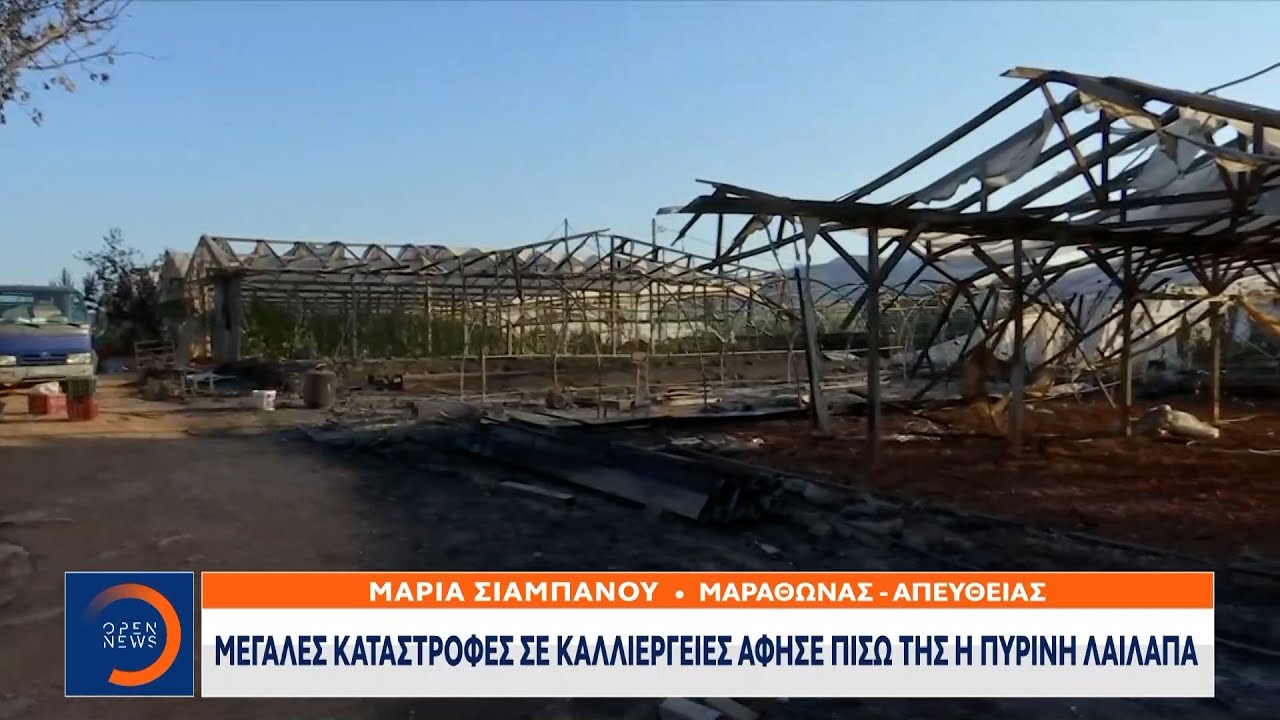 Μαραθώνας: Ανυπολόγιστες καταστροφές στις καλλιέργειες – Κάηκαν ...