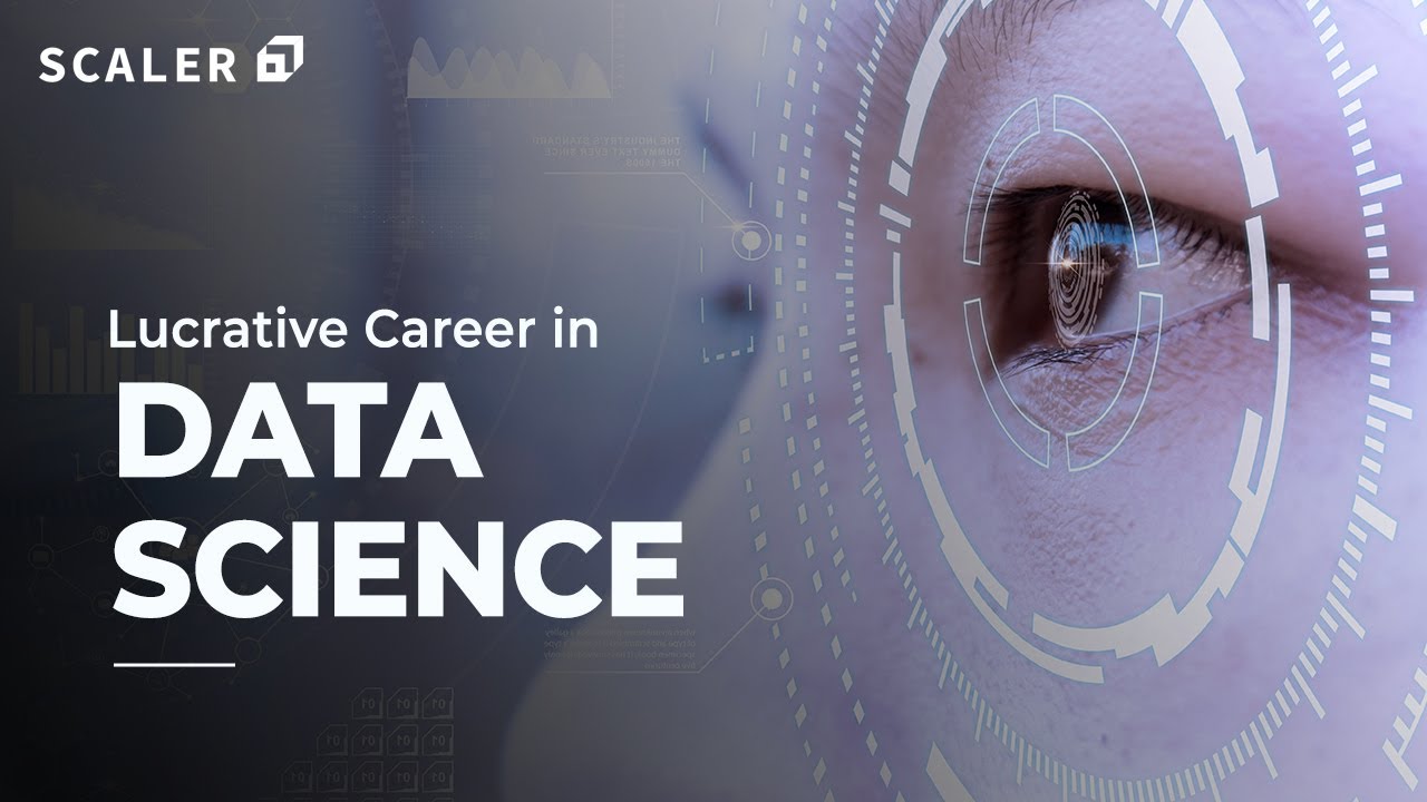 Data Science Career Roadmap | Guide to Becoming a Successful Data ...