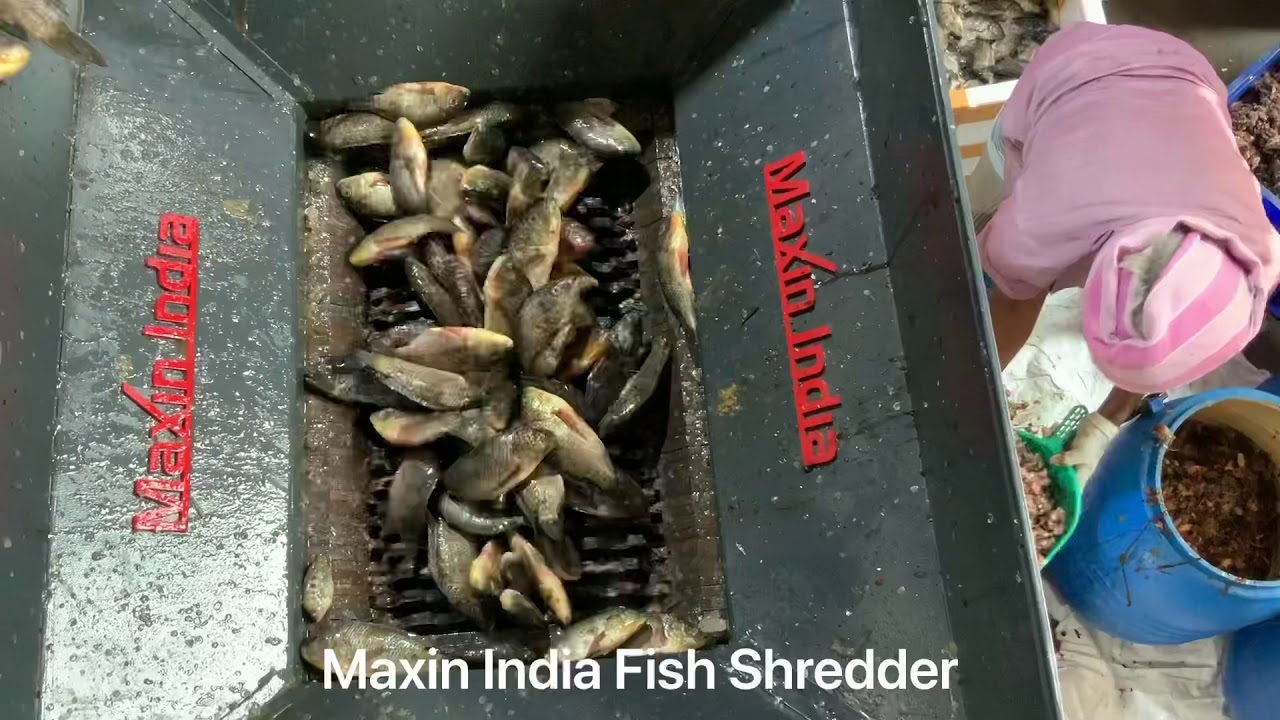 Fish Head waste Shredder, Fish Crusher, Fish Head Grinding, Shredding ...