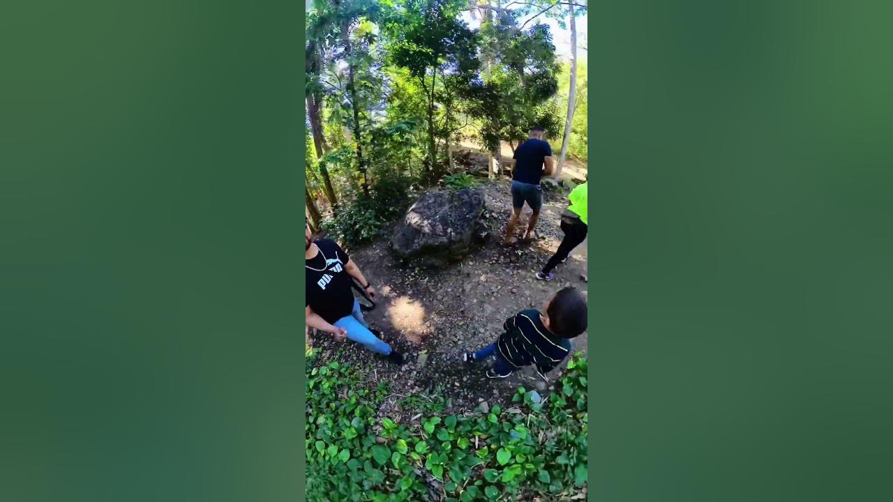 Tour El Jibarito De La Cajita Finca Bee Happy Youtube