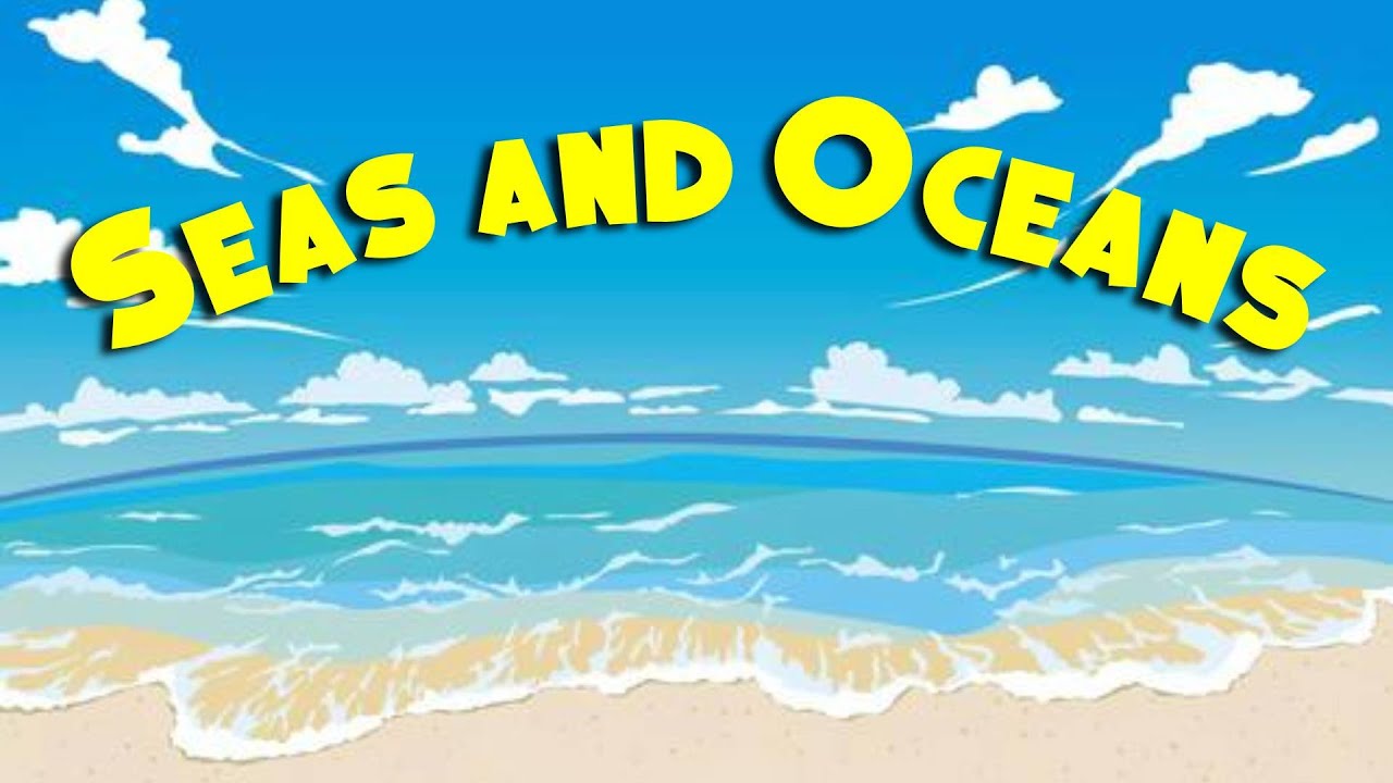 Seas: Ocean Connected Wonder | Kids Learning | #education - YouTube