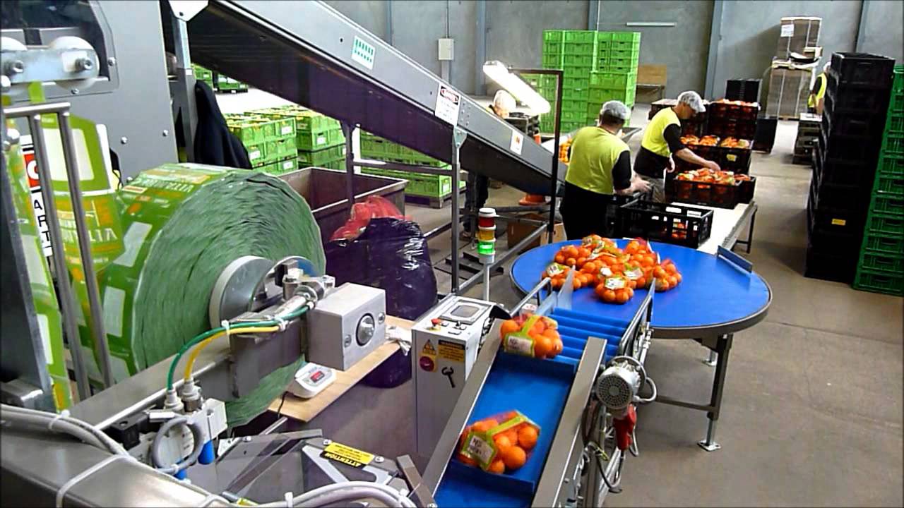 Automation: Sorma SBU producing Sormabag, Kaiaponi Farms - YouTube