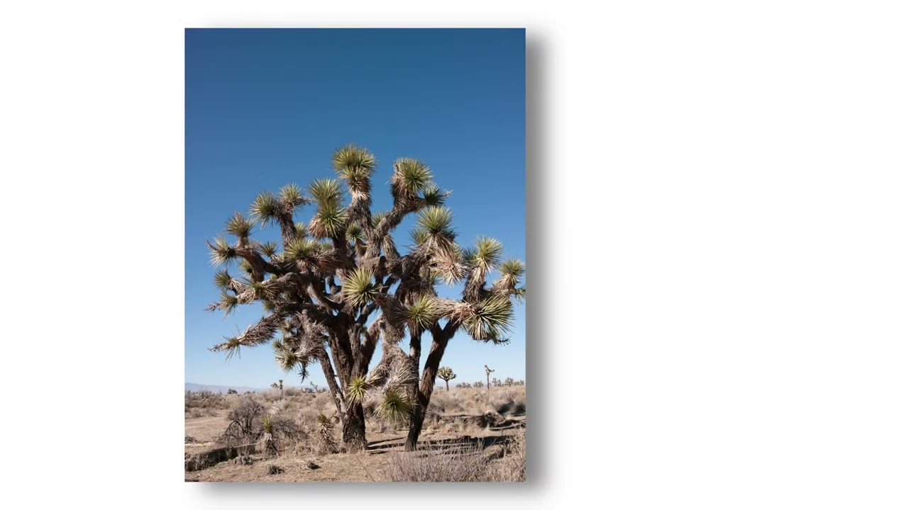 Hasselblad H3D 39MP Sample Photos