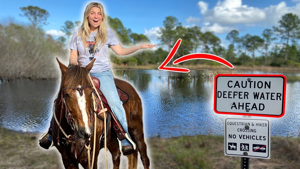 Riding MY HORSE On A DEEP WATER TRAIL RIDE! | HORSE SWIMMING - YouTube