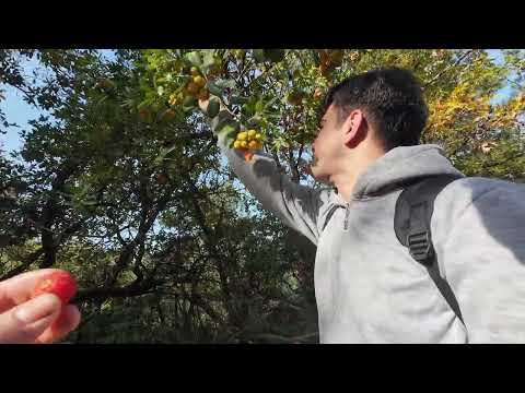 Bölüm 2.         Dağ, Yokuş ve Macera! Fırla Dede Trekking - 😎😎😎