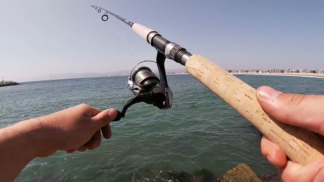 Fishing Marina Del Rey Jetty! New Fishing Friends and Weird Fish ...
