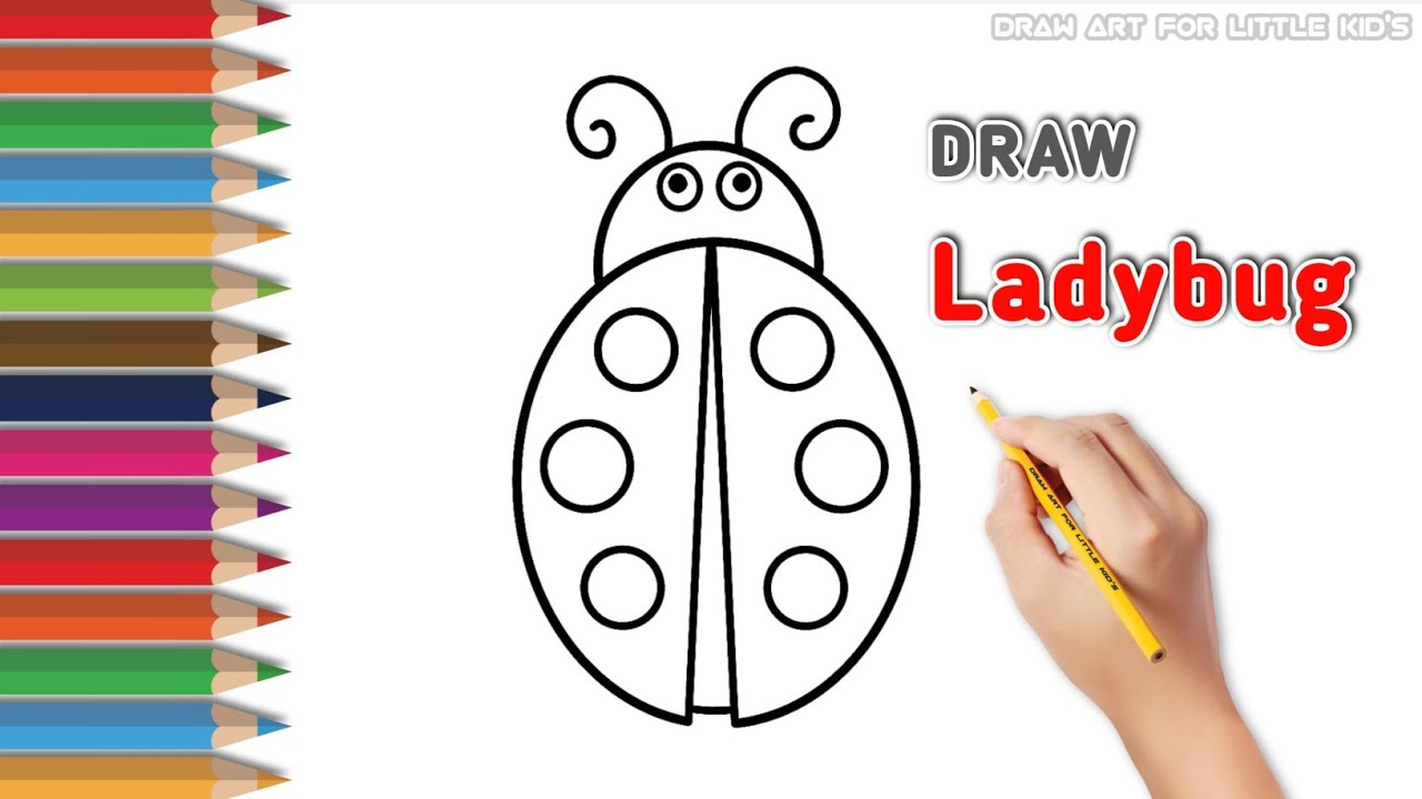 Ladybug Drawing How to draw a Ladybug Easy Step by Step Drawing and ...