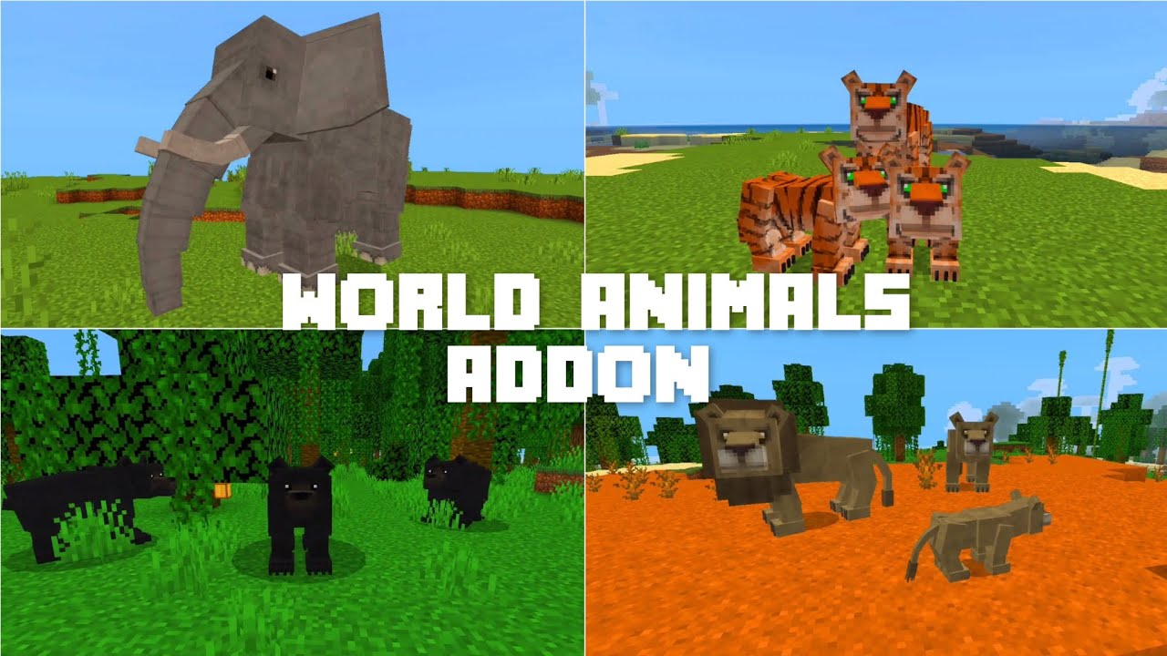 El Mejor Addon de Animales para Minecraft Bedrock -WORLD ANIMALS ADDON- - YouTube