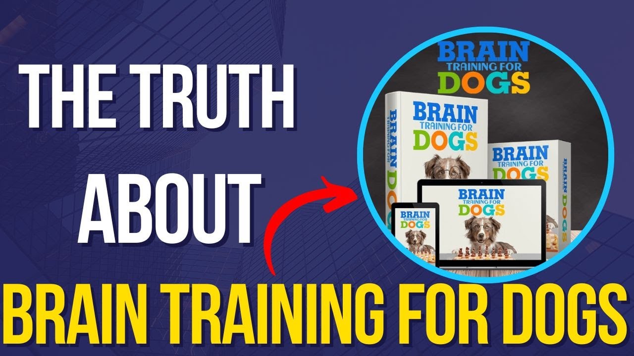 Brain Training for Dogs - Does Brain Training for Dogs Work? Brain Training for Dogs Review ...