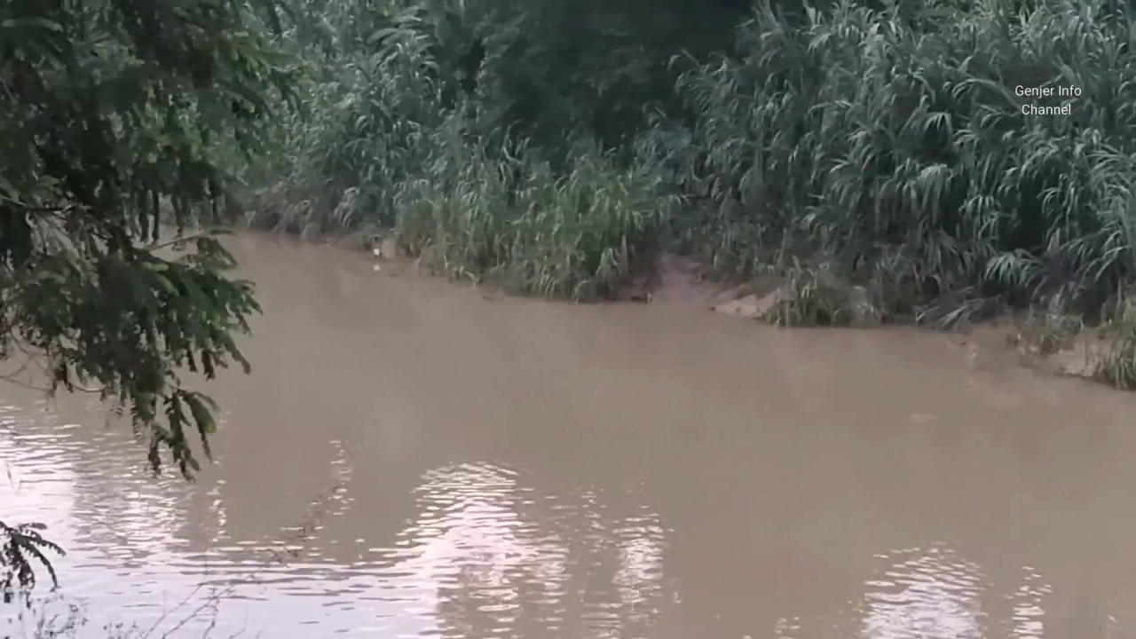 Ingatkan Biawak Rupanya Buaya Sungai Dengkil - YouTube