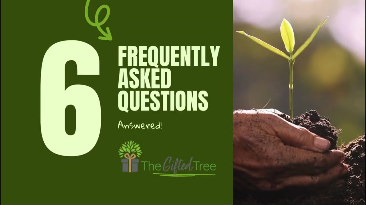 6 Key Questions Answered: Why Plant a Memorial Tree with The Gifted ...