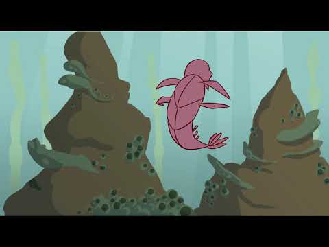 "Krill Bill" GreenPeace - Student Project - YouTube