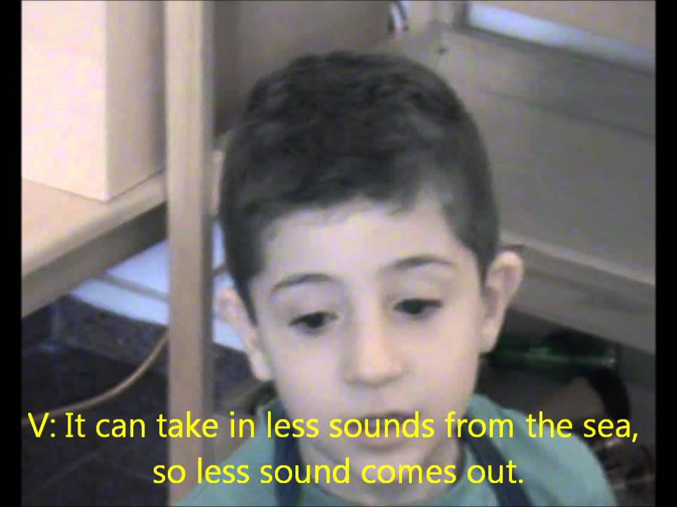 Sound From the Sea Shell - YouTube