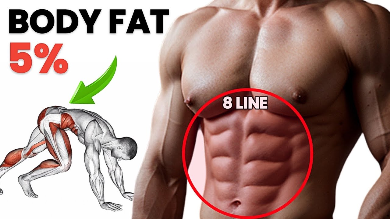 Top Abs Exercises Perfect To Build Abs Line And Detail Muscle | Abs ...