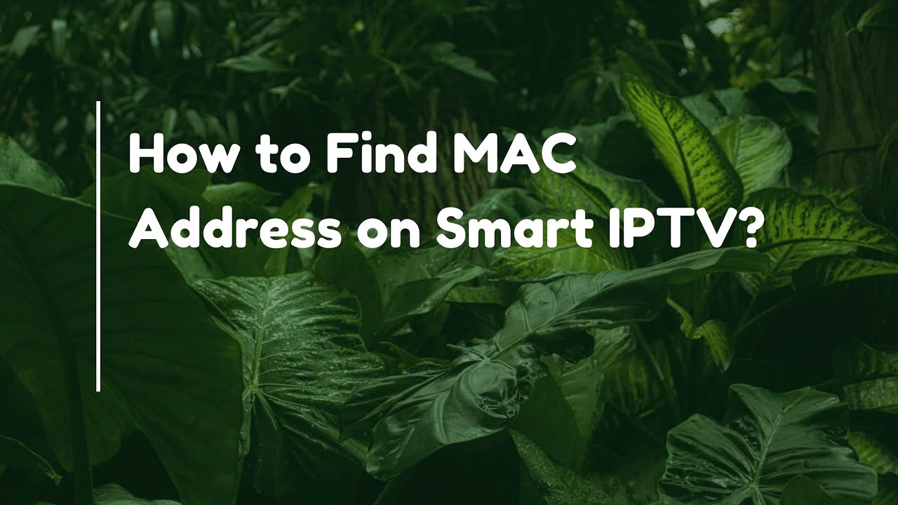 How to Find MAC Address on Smart IPTV? - YouTube