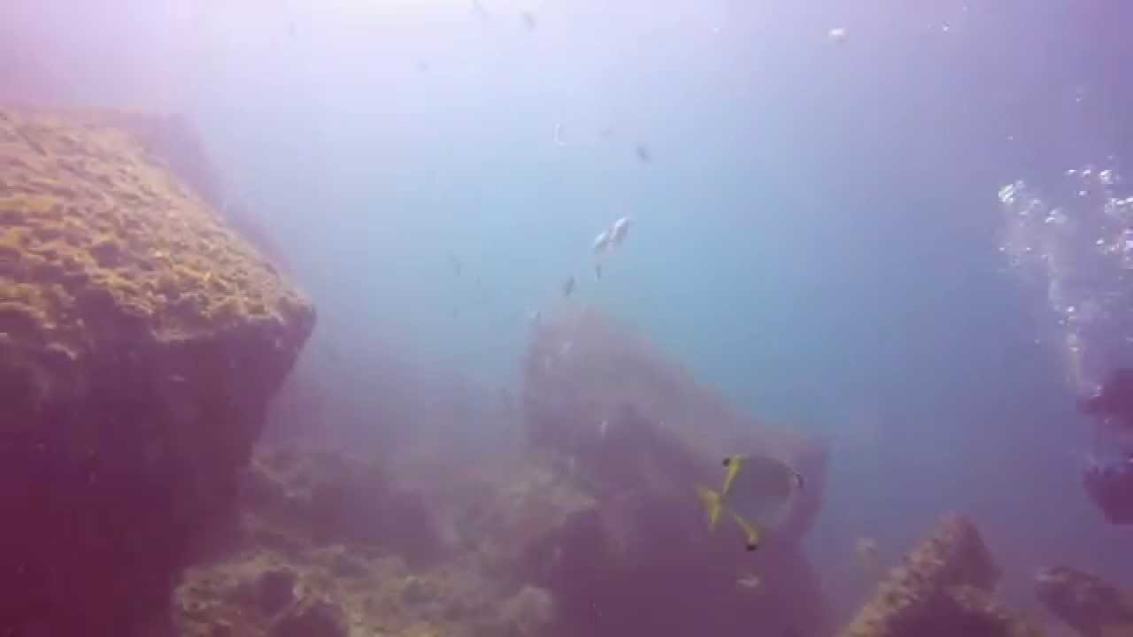 Quick Tweed River Dive - YouTube
