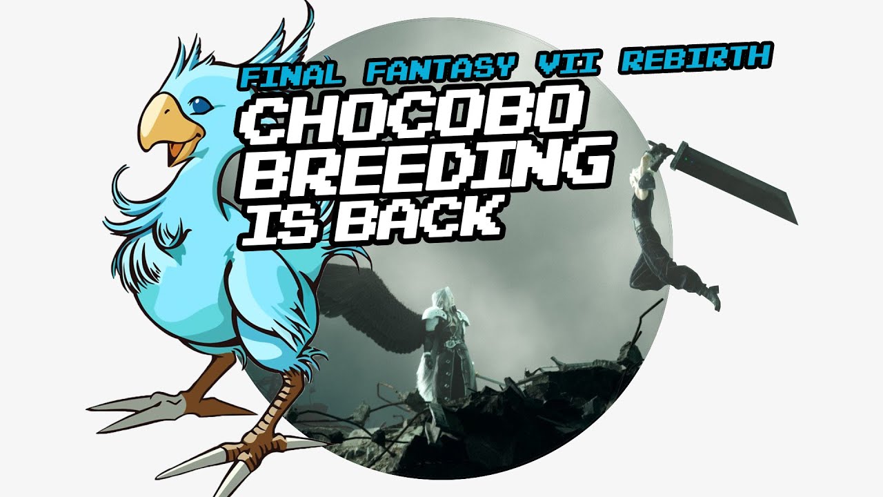 Chocobo breeding is BACK in Final Fantasy VII Rebirth - the new trailer ...