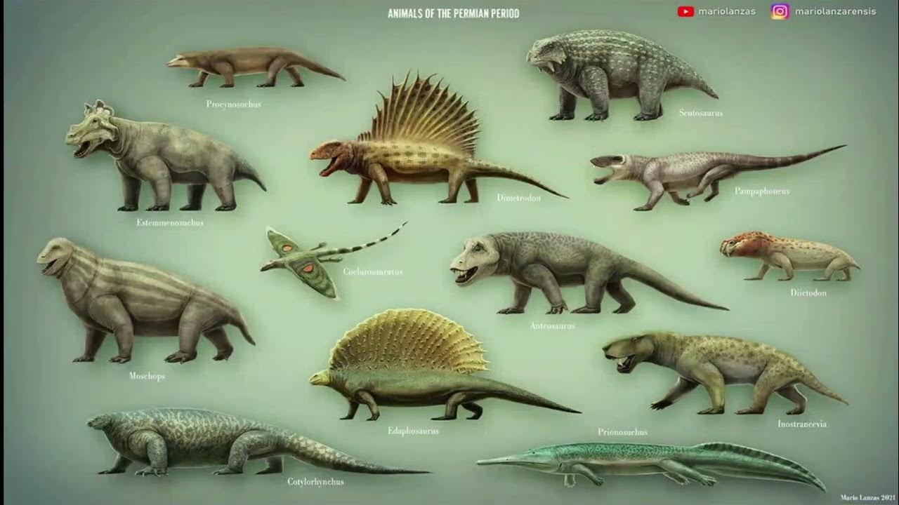 The Creatures that Lived on Earth Before the Dinosaurs - YouTube