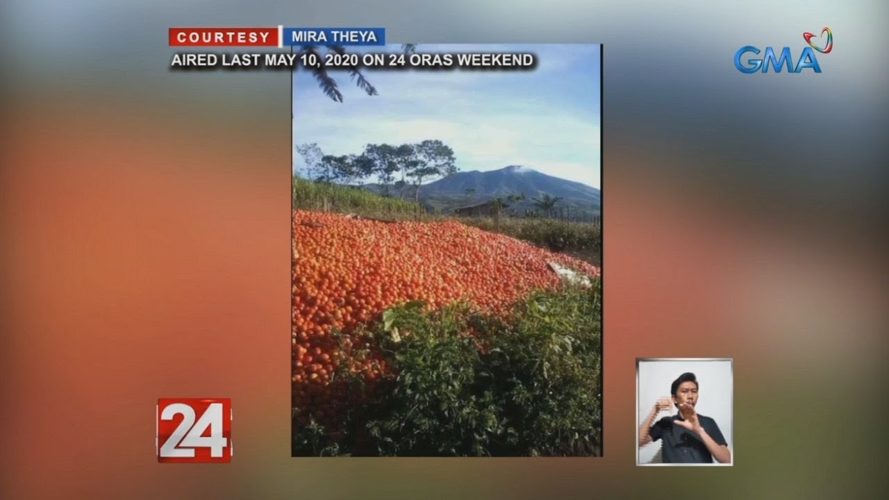 24 Oras: Larawan ng mga kamatis na itinapon na lang umano... - YouTube