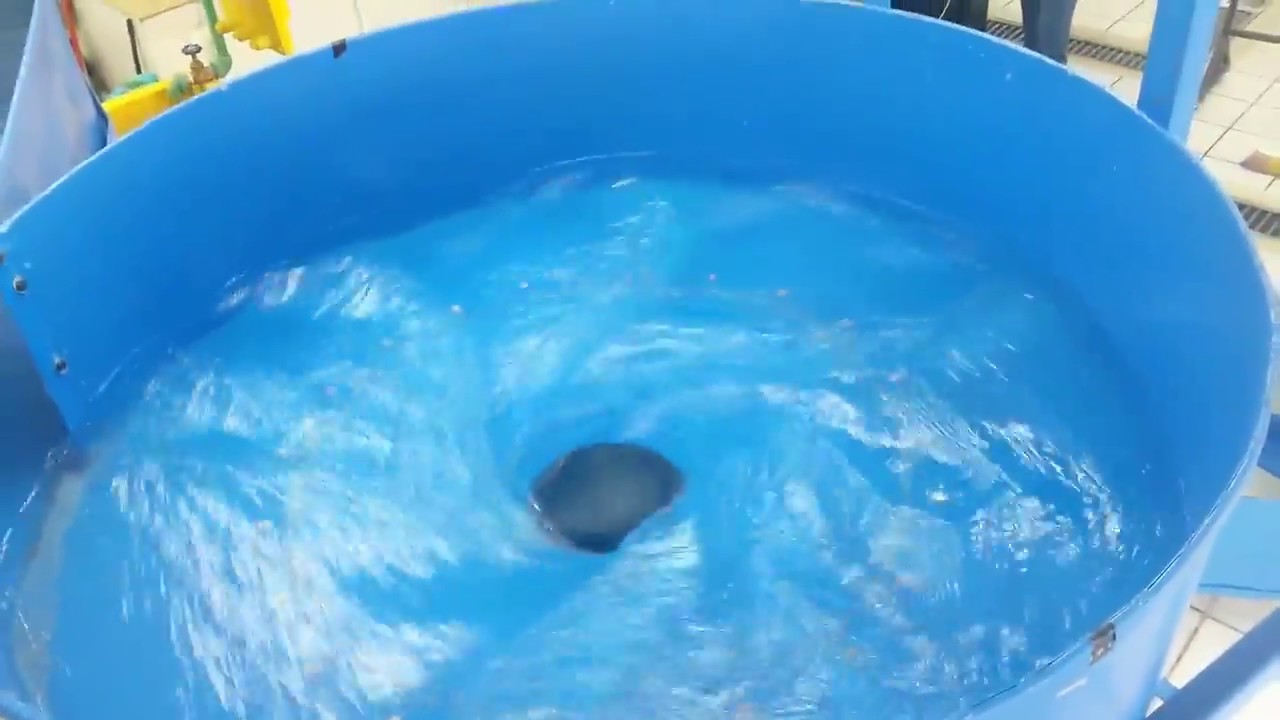 Gravitational water vortex power plant Central hidroelctrica de vrtice ...