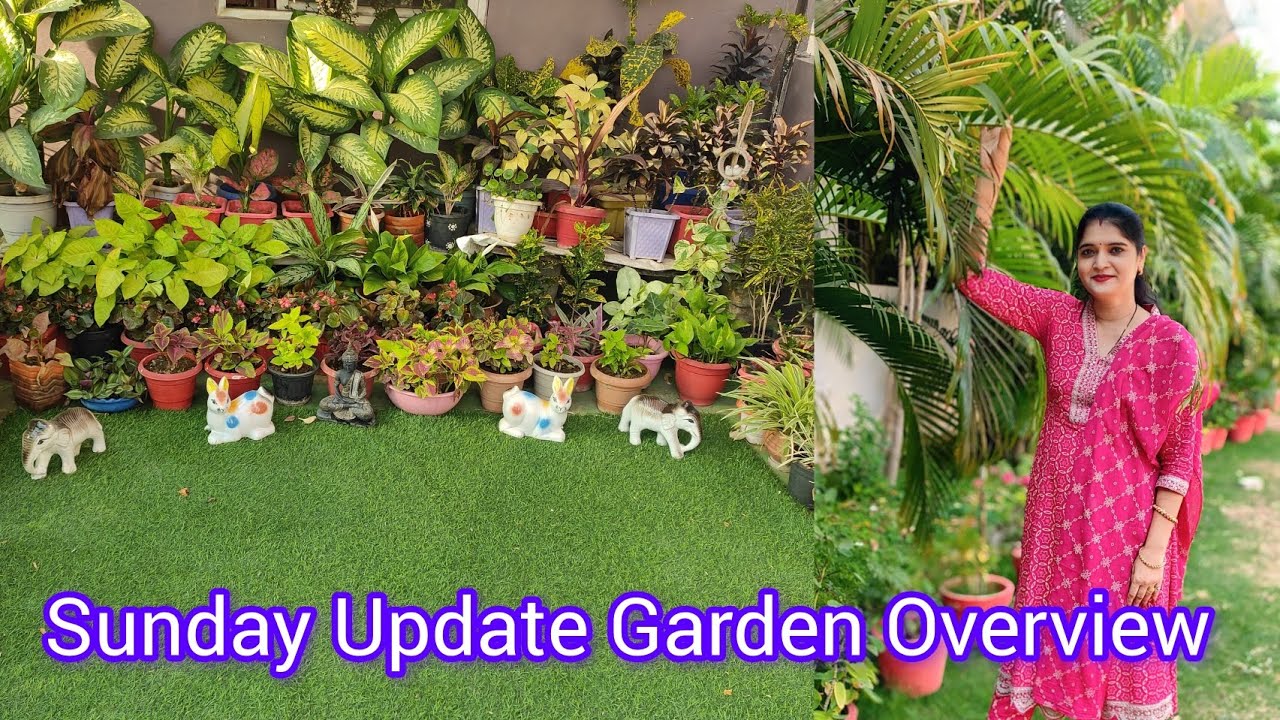 Summer Garden Overview/Terrace Garden Overview/Bolcony Garden Overview ...