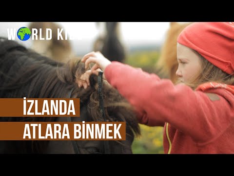 Atlara Binmek | Húsavik | İzlanda | WorldKids.tv