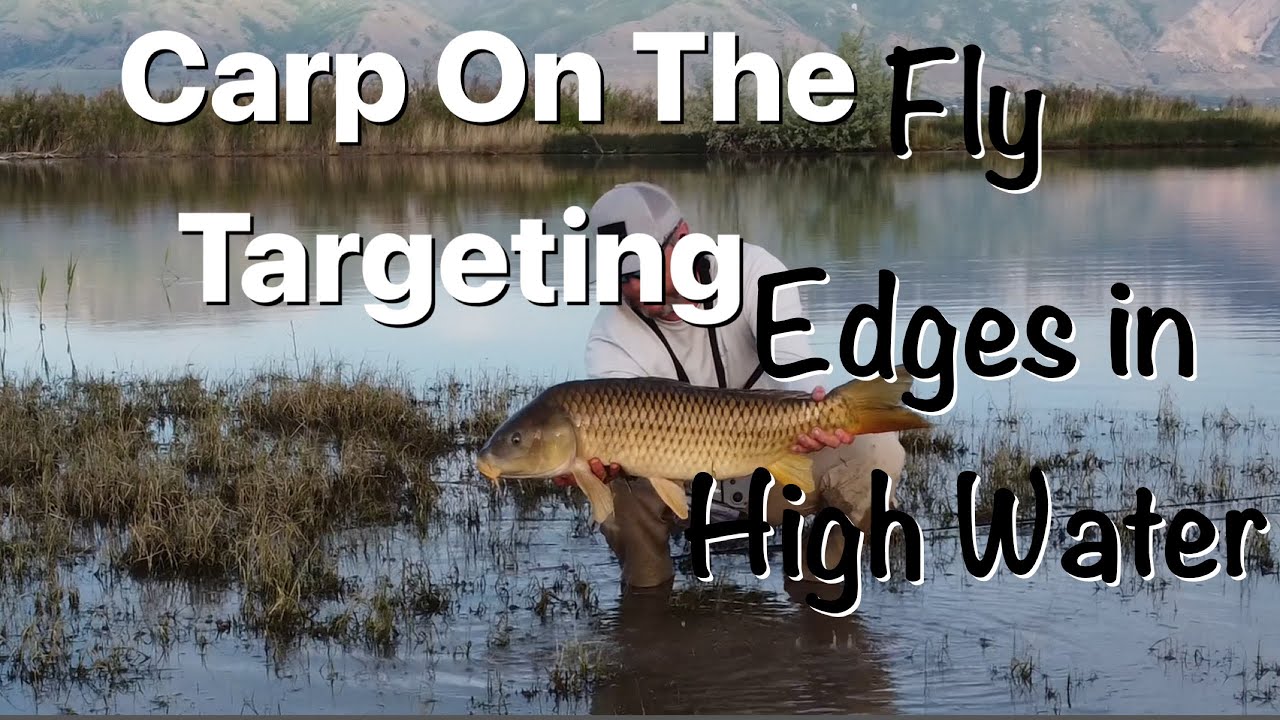 Carp Fly Fishing - Targeting Edges in High Water - Carp On The Fly ...