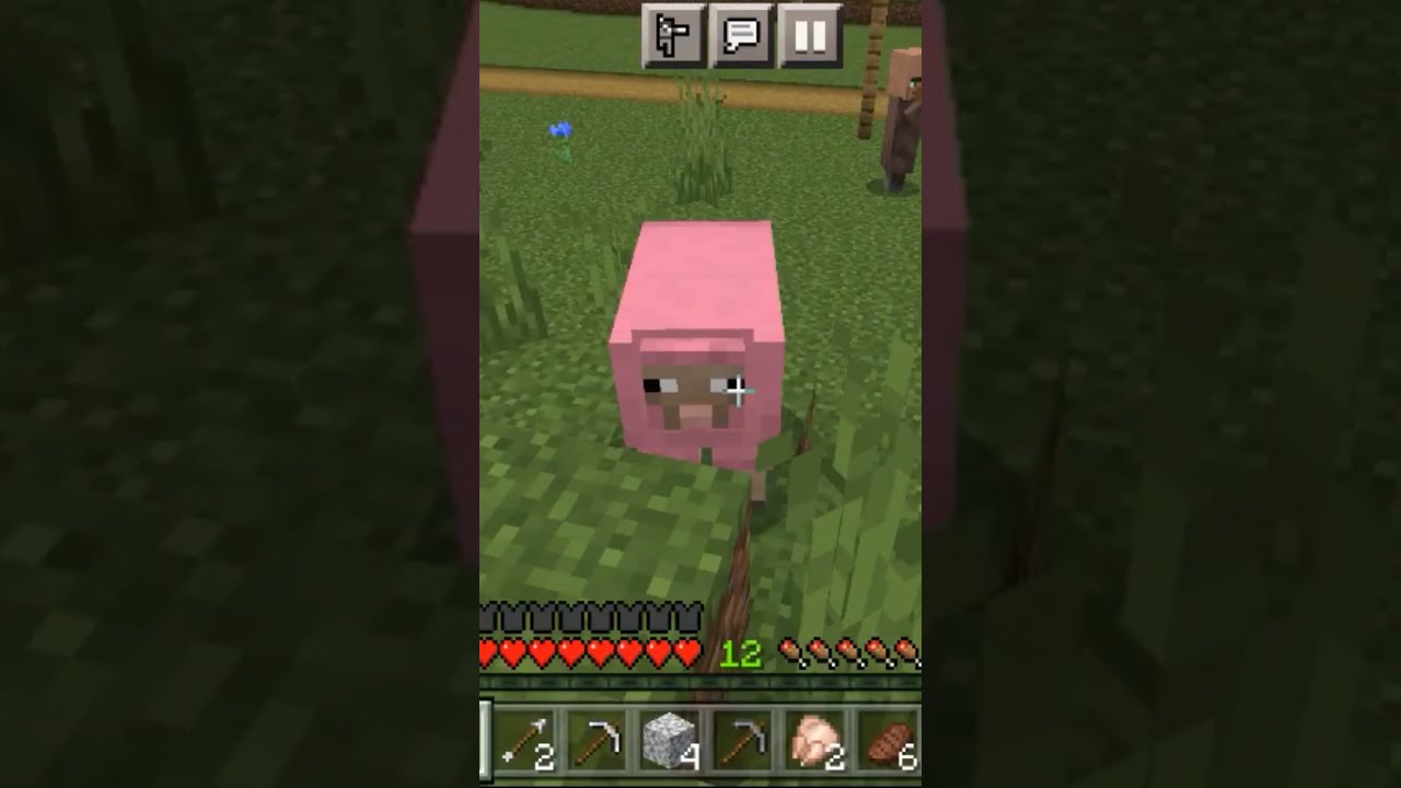 Finding a pink sheep 0.164% chance of spawning in Minecraft#minecraft# ...