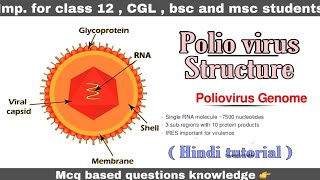 Poliovirus Structure Type 2 Poliovirus Detected In Sierra Leone AYV