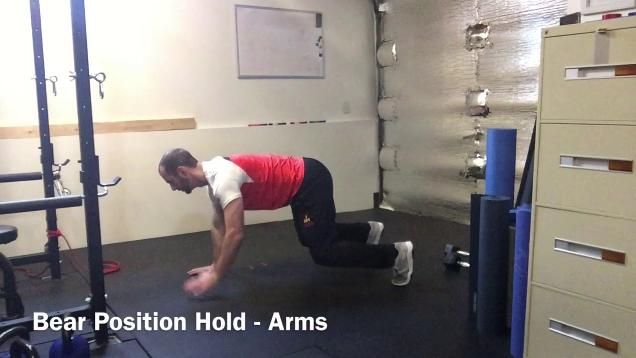 Bear Position Hold - Arms - YouTube